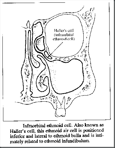 Medicine Decoded: Onodi cell & Haller cell